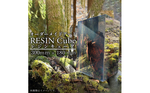 オーダーメイド アート RESIN Cube 300mm×180mm インテリア レジン キューブ 自然 静岡県 沼津市 ホテルライク 会社 ...