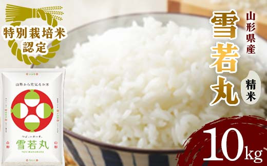 山形県産 雪若丸精米 5kg×2袋 【令和6年産】 F2Y‐4073 - 山形県｜ふるさとチョイス - ふるさと納税サイト