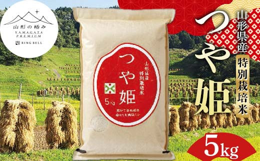 【山形の極み】特別栽培米 山形県産 つや姫 5kg 精米 ごはん 白米 F2Y-6069 - 山形県｜ふるさとチョイス - ふるさと納税サイト