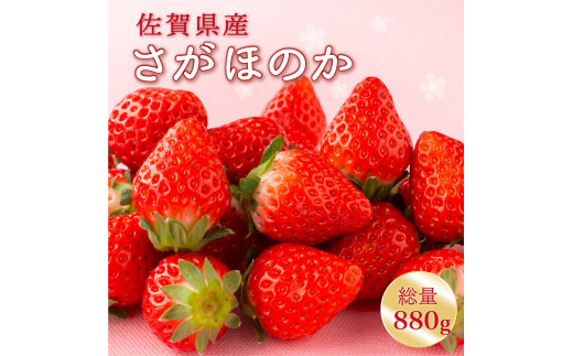 【先行予約】 2025年1月中旬より順次発送予定 さがほのか 880g (220g×4p) - 佐賀県大町町｜ふるさとチョイス - ふるさと納税サイト