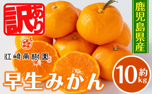 i896 ＜数量・期間限定＞《傷ありのため訳あり》鹿児島みかん 早生系 (約10kg) みかん 蜜柑 ミカン 柑橘 早生 10kg 果物 ...