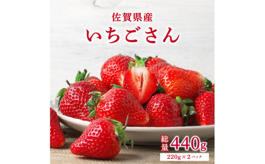 【先行予約】 2025年1月中旬より順次発送予定 いちごさん 440g (220g×2p) - 佐賀県大町町｜ふるさとチョイス - ふるさと納税サイト