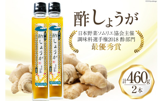 AI203 酢しょうが 230g 2本 計460g [ 生姜 しょうが ショウガ 調味料 酢 松本農園 人作 長崎県 島原市 ] - 長崎県 ...