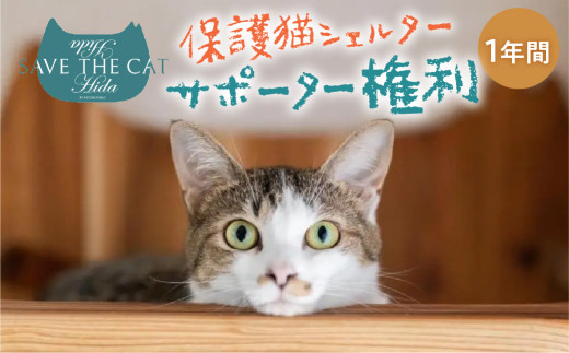保護猫シェルターサポーター 1年間 権利 SAVE THE CAT HIDA PROJECT ねこ ネコ 猫 支援 保護猫ライフ 観光 旅行 体験 ネコリパブリック - 岐阜県飛騨市｜ふるさと ...