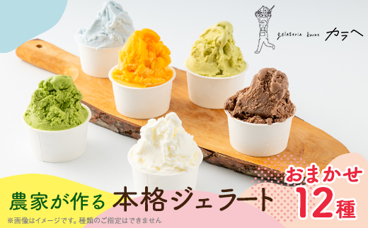 福岡県産 農家が作る本格ジェラート 12種類おまかせセレクション【1543307】 - 福岡県大牟田市｜ふるさとチョイス - ふるさと納税サイト