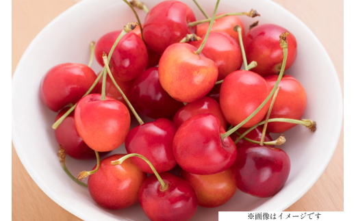 【期間限定発送】 さくらんぼ 紅秀峰 特秀 3L サイズ 500g [JA山形おきたま 山形県 高畠町 tk06ays870055] サクランボ チェリー - 山形県高畠町｜ふるさとチョイス ...
