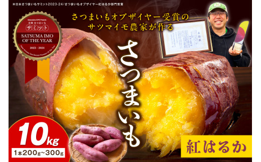 さつまいもオブザイヤー紅はるか部門全国1位 京都・ 丹後産 さつまいも 紅はるか 土付き（1本200g〜300g）10kg TF00022 ...