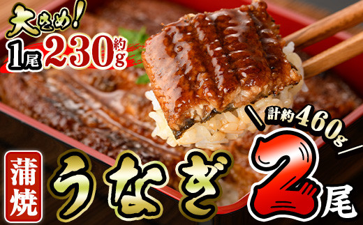 うなぎ 蒲焼 (計約460g・約230g×2尾・山椒、タレ付き) 鰻 さんしょう 冷凍 かば焼き うな重 うな丼 ひつまぶし 小分け 土用 丑の日 中国産【AW-61】【丸正水産】 - 宮崎県 ...