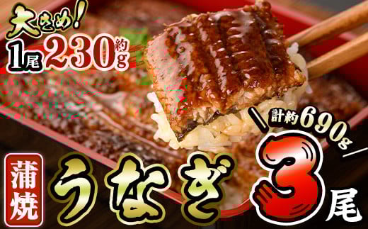 うなぎ 蒲焼 (計約690g・約230g×3尾・山椒、タレ付き) 鰻 さんしょう 冷凍 かば焼き うな重 うな丼 ひつまぶし 小分け 土用 丑の日 中国産【AW-62】【丸正水産】 - 宮崎県 ...