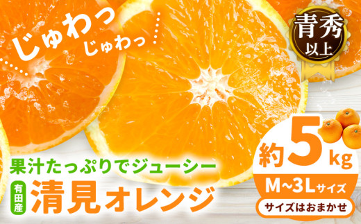 【先行予約】【濃厚】有田産 清見 オレンジ 約 5kg（M～3Lサイズおまかせ）青秀以上 日高川町厳選館《2026年2月中旬-3月末頃より出荷予定》和歌山県 日高川町 柑橘 果物 フルーツ ...