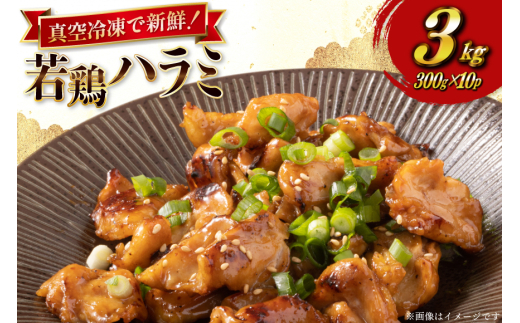 鶏肉 はらみ 宮崎県産 若鶏 ハラミ 300g 10p 計 3kg セット [TRINITY 宮崎県 日向市 452061343] 小分け 真空パック サガリ - 宮崎県日向市｜ふるさと ...