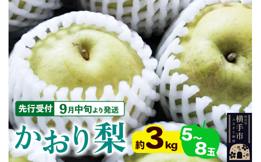 【先行受付】9月中旬より発送 かおり約3kg（5～8玉）かおり梨 大玉品種 青梨 和梨 秋田県横手市 - 秋田県横手市｜ふるさとチョイス - ふるさと納税サイト