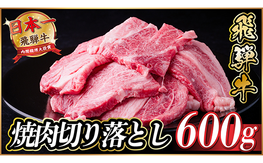 飛騨牛 焼肉切り落とし 約600g(約300g×2)タレ付き 訳あり＜冷蔵便＞A4～A5等級黒毛和牛【1543372】 - 岐阜県羽島市 ...