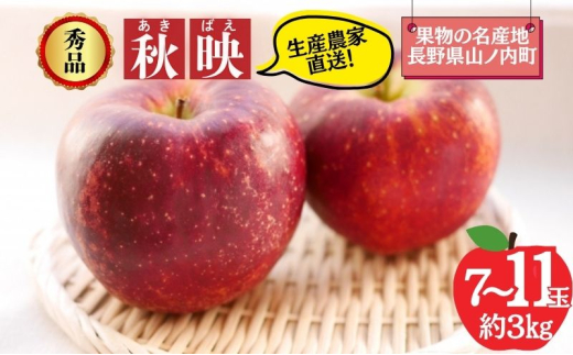 秋映 秀品 約3kg 7～11玉 りんご 果物 信州 長野 - 長野県山ノ内町｜ふるさとチョイス - ふるさと納税サイト