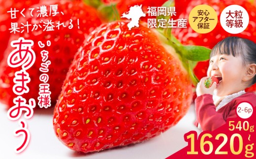 ★2026年出荷分★【先行予約】いちご あまおう 大容量産あまおう 540g 1080g 1620g 【着日指定不可】《2月中旬-4月末頃出荷》 いちご - 福岡県鞍手町｜ふるさとチョイス ...