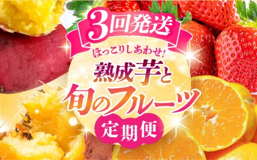 【先行予約】【3回定期便】 ほっこり幸せ！熊本・山鹿のあま～い冬支度 熟成芋と旬のフルーツ さつまいも みかん いちご[ZZZ001 ...