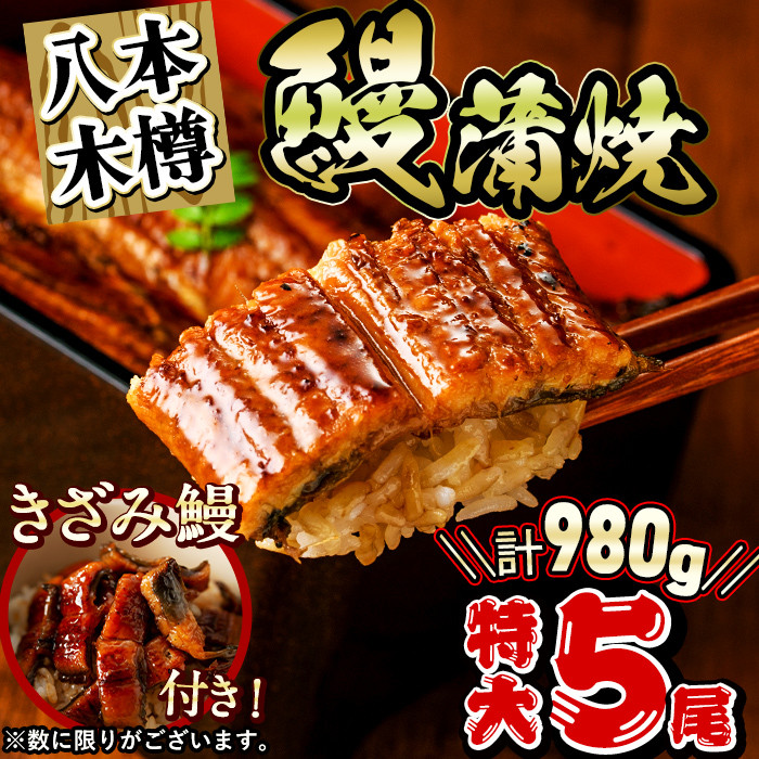 【数量限定】特大! 国産 八本木樽鰻の蒲焼(186g以上×5尾) きざみ鰻50g付き! c0-104-kizami うなぎ 鰻 ウナギ 5尾 国産 九州産 蒲焼き かばやき 冷凍 うな丼 ...